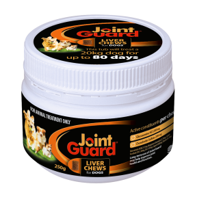 Dog Joint Supplements | Joint Health For Dogs | VetShopMax