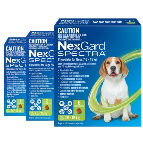 Buy Nexgard Spectra For Dogs: Chewable Flea, Tick, & Wormer | VetShopMax