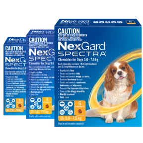 Buy Nexgard Spectra For Dogs: Chewable Flea, Tick, & Wormer | VetShopMax