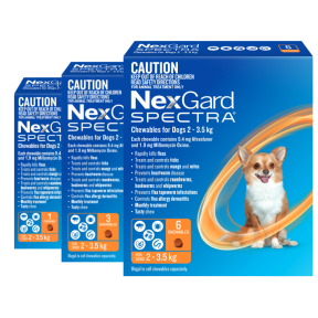 Buy Nexgard Spectra For Dogs: Chewable Flea, Tick, & Wormer | VetShopMax