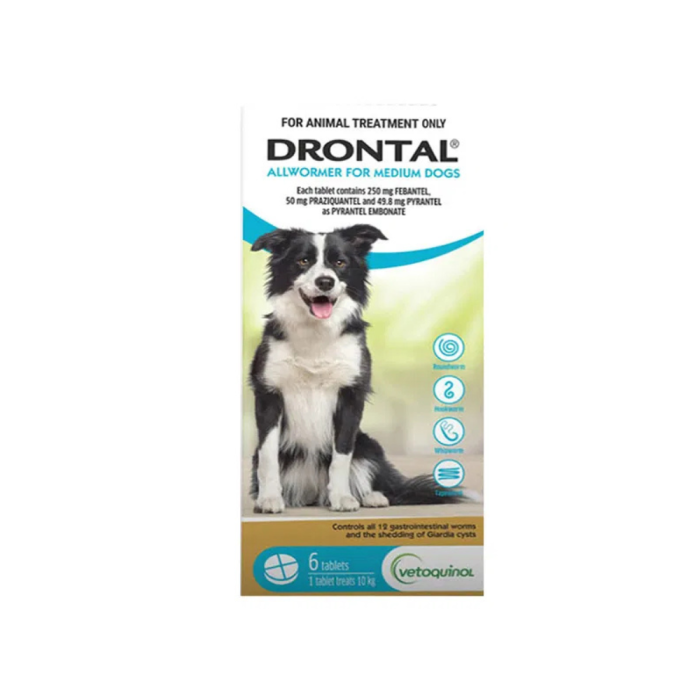 Drontal Allwormer Dog Medium 22lbs Tablets VetShopmax