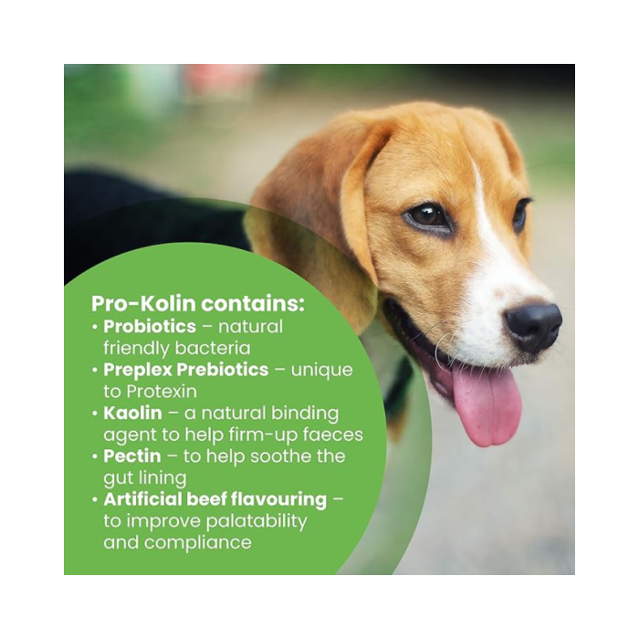 pro kolin pets corner