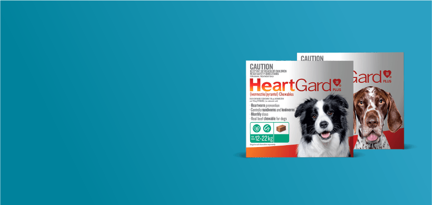 Buy Cheap Pet Supplies Online | VetShopMax