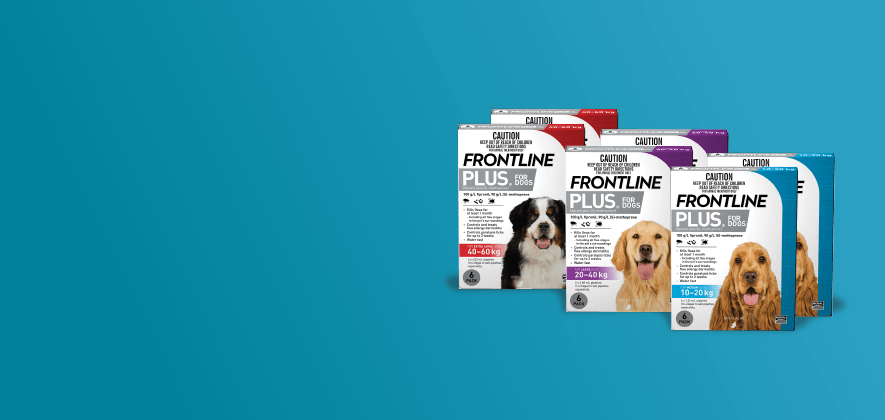 Buy Cheap Pet Supplies Online | VetShopMax